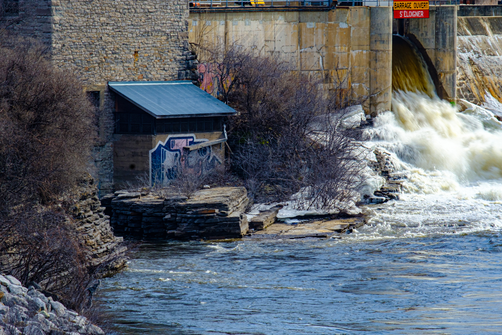 Early Spring Walk – SHOTSBLOG