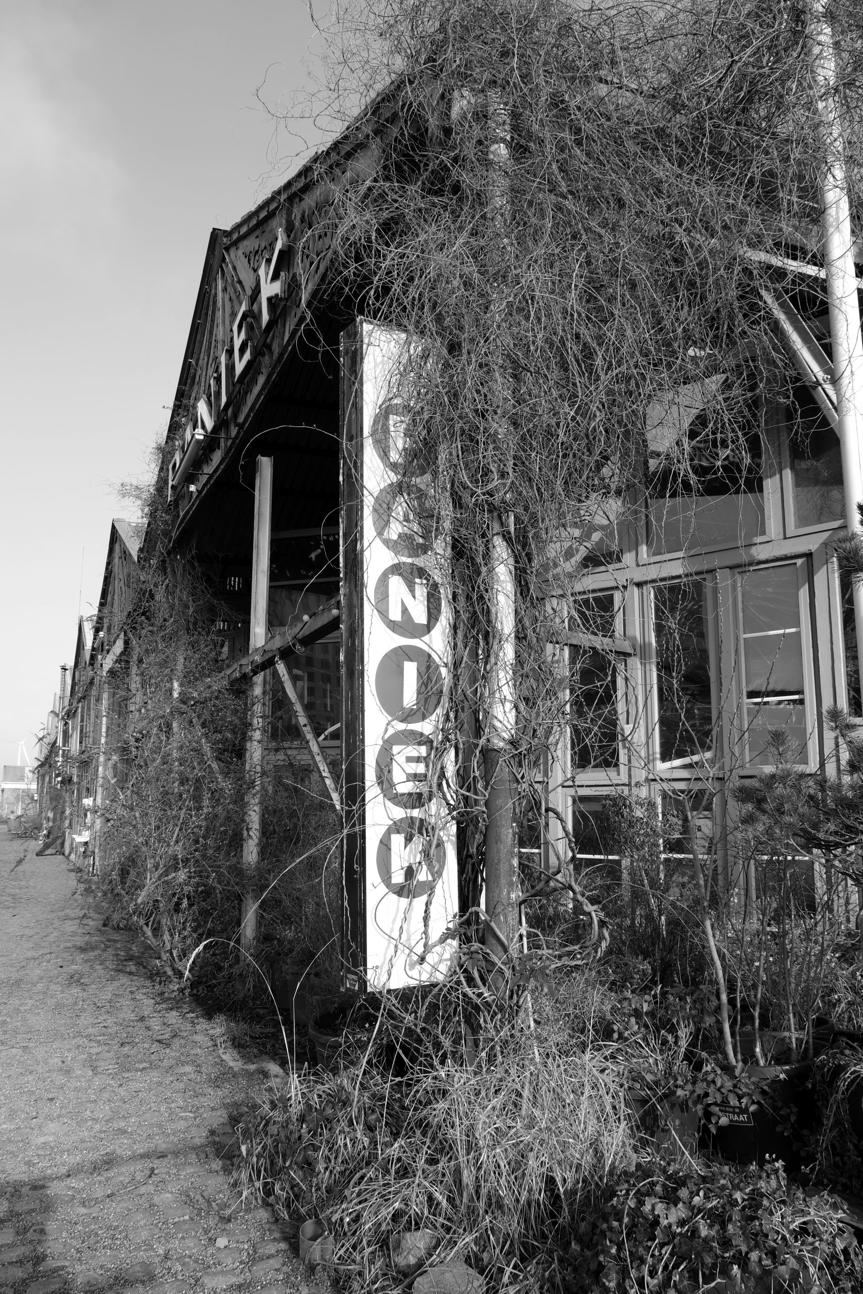 Summerbar in wintersleep – SHOTSBLOG