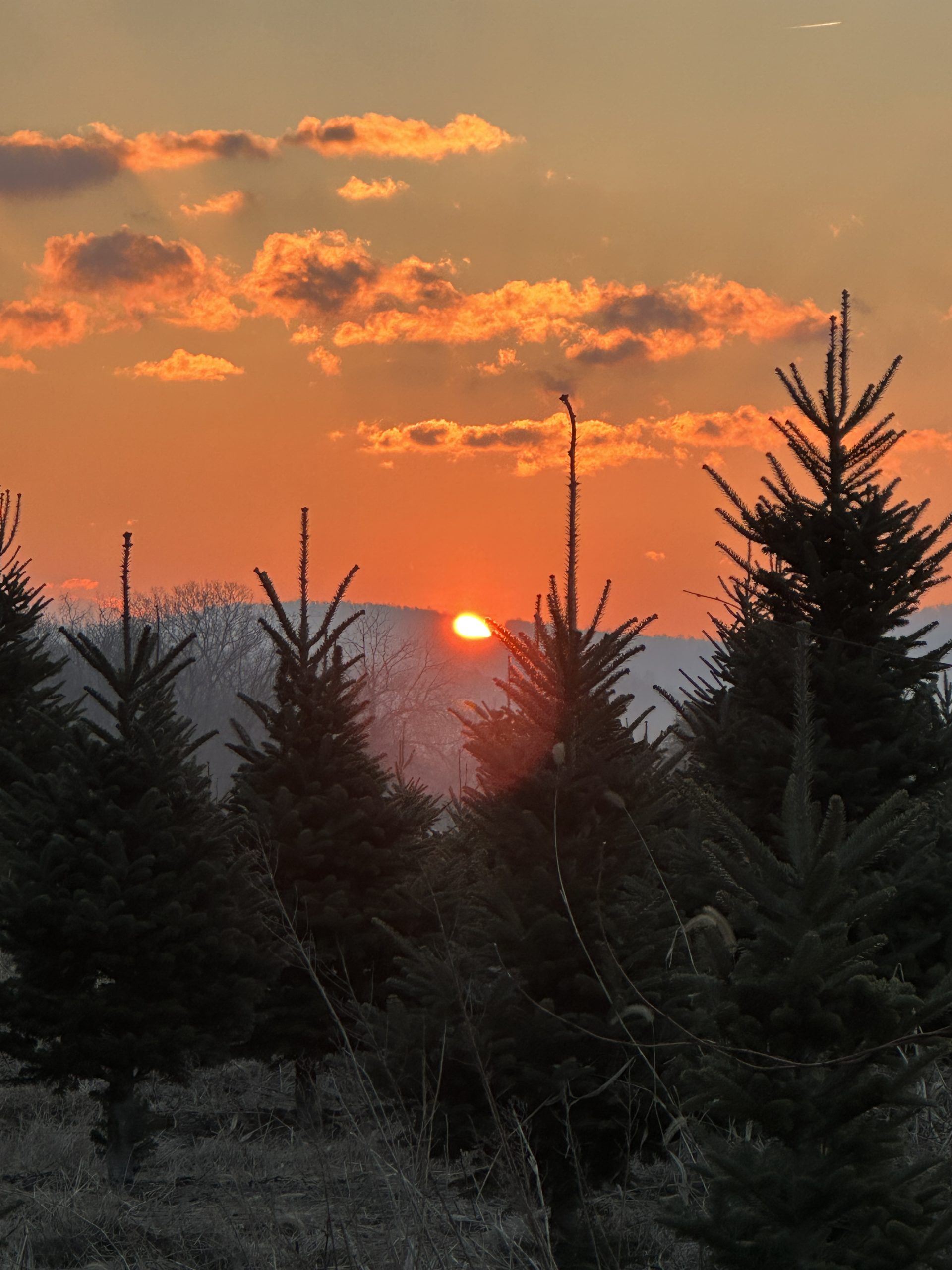 2023-047 February 16, 2023 – SHOTSBLOG