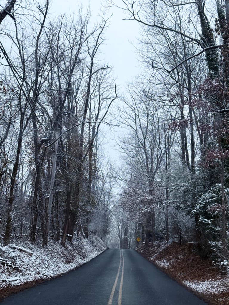 2024-356 December 21, 2024 - SHOTSBLOG